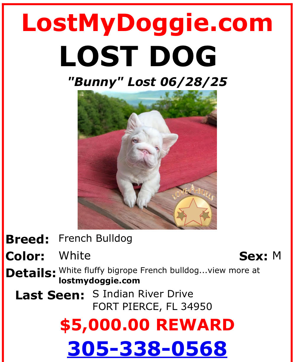 Beware of Brandon Dog Trainer